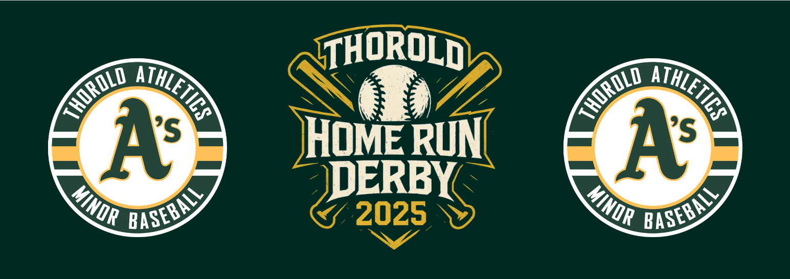 Niagara District Baseball Association : Website by RAMP InterActive